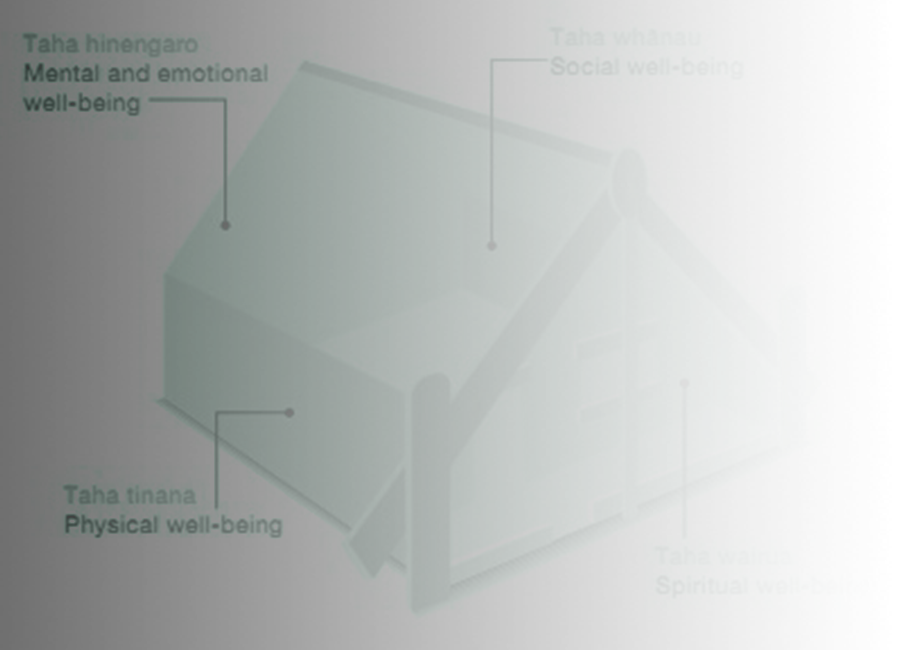 Te Whare Tapa Whā | NCEA